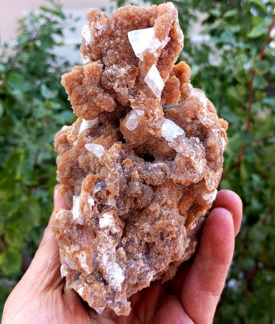 Kernite Crystals on Orange Colemanite Uv Reactive Fluorescent Mineral ...