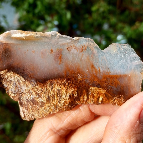 Sagenite Agate - Etsy