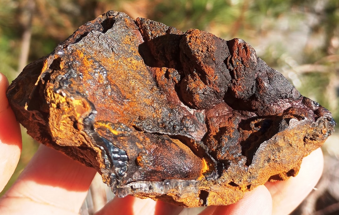 Botryoidal Goethite and Limonite - Etsy