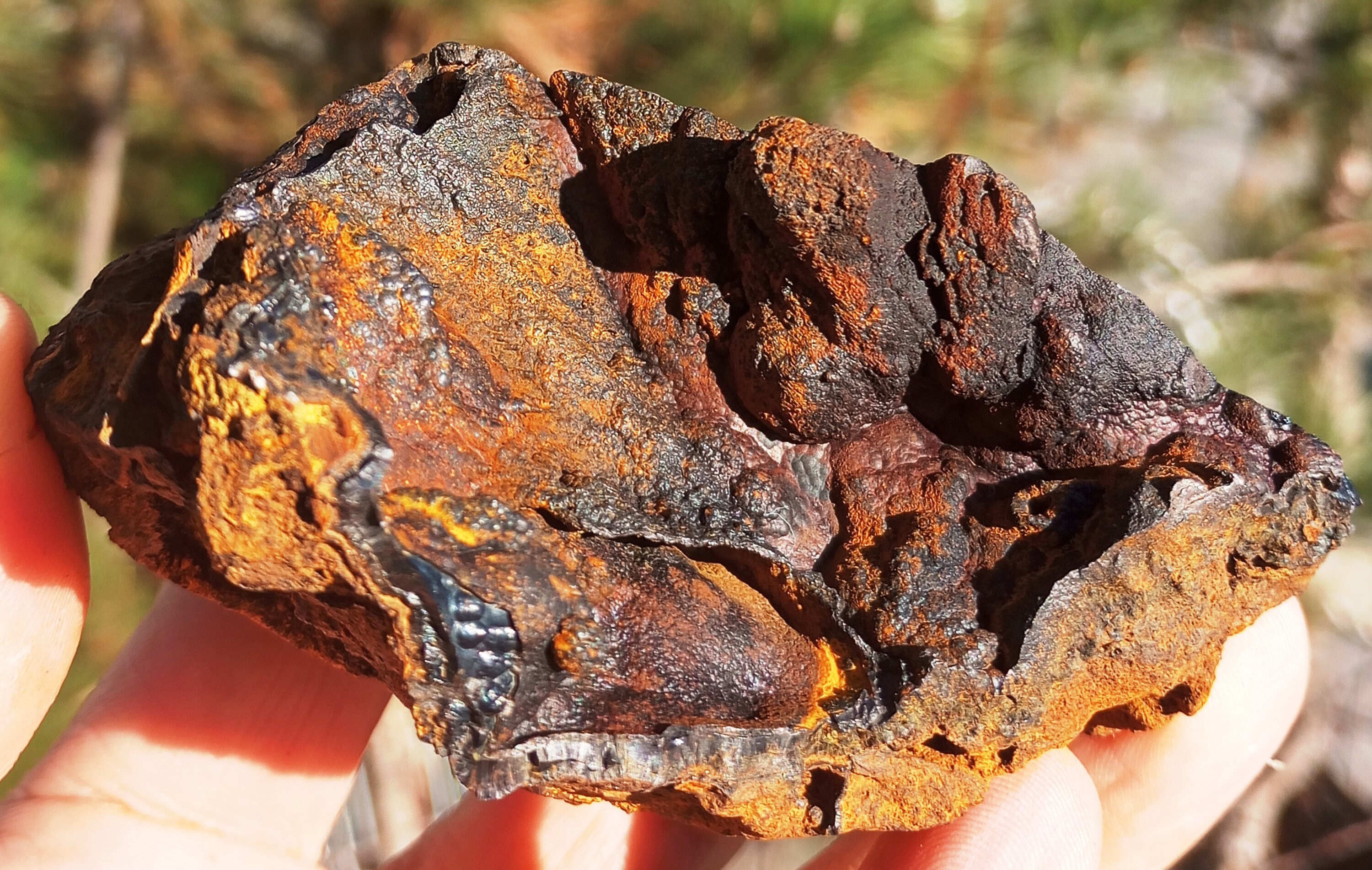 Botryoidal Goethite and Limonite - Etsy