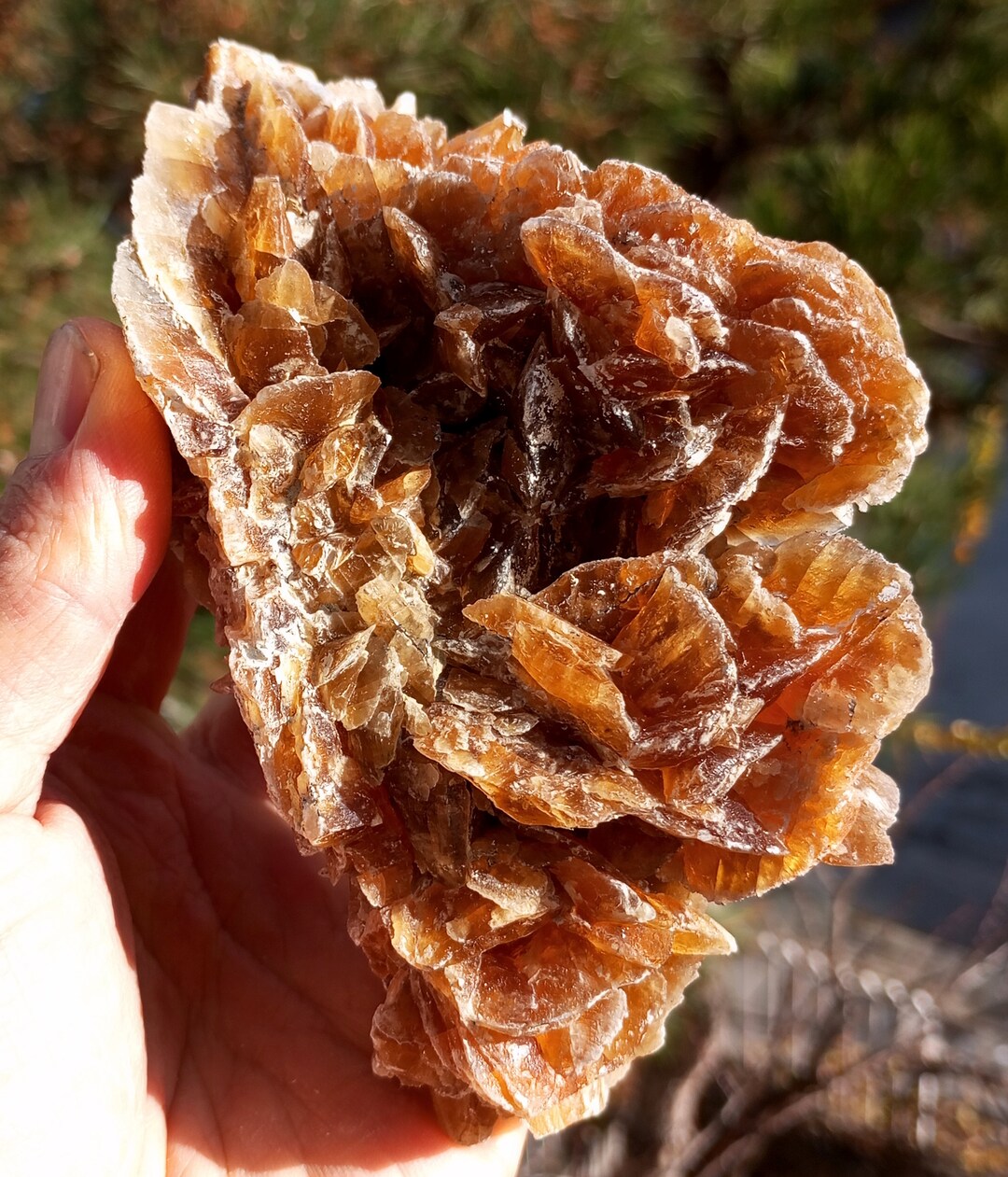 Golden Selenite Crystal Cluster Uv Reactive Fluorescent Mineral ...