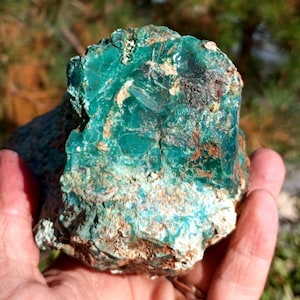 Spectacular Color Rare Chrysopal Rough, Nickel Opal - Etsy