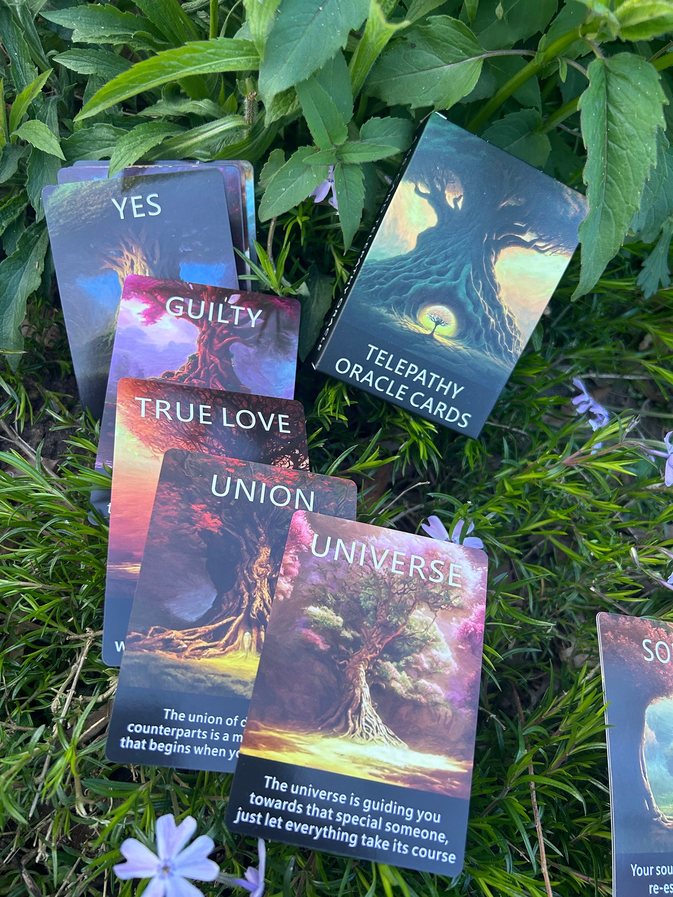 Telepathy Oracle Cards - 56 Card Deck - Synchronicities & Blessings to ...