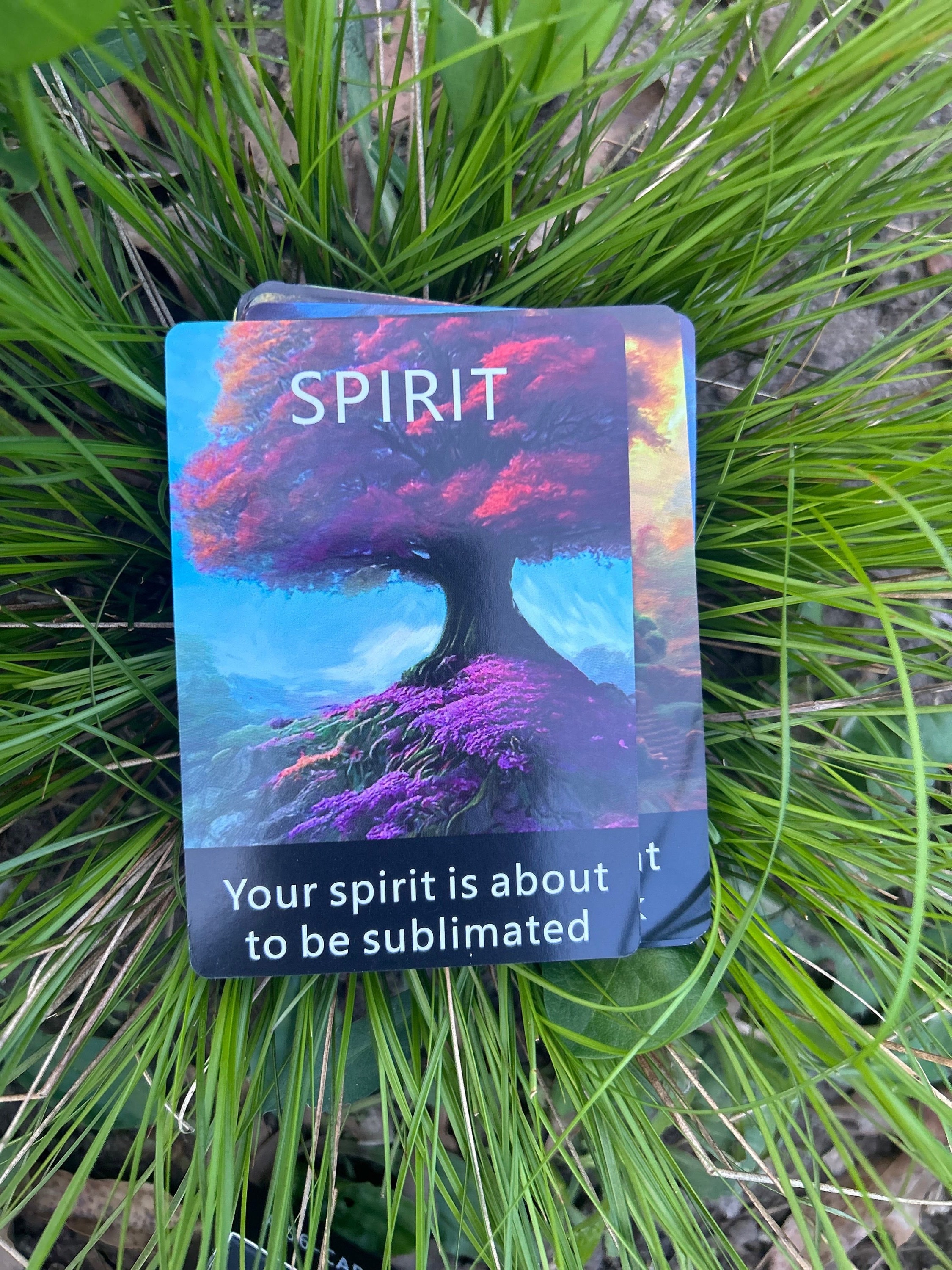 Telepathy Oracle Cards - 56 Card Deck - Synchronicities & Blessings to ...