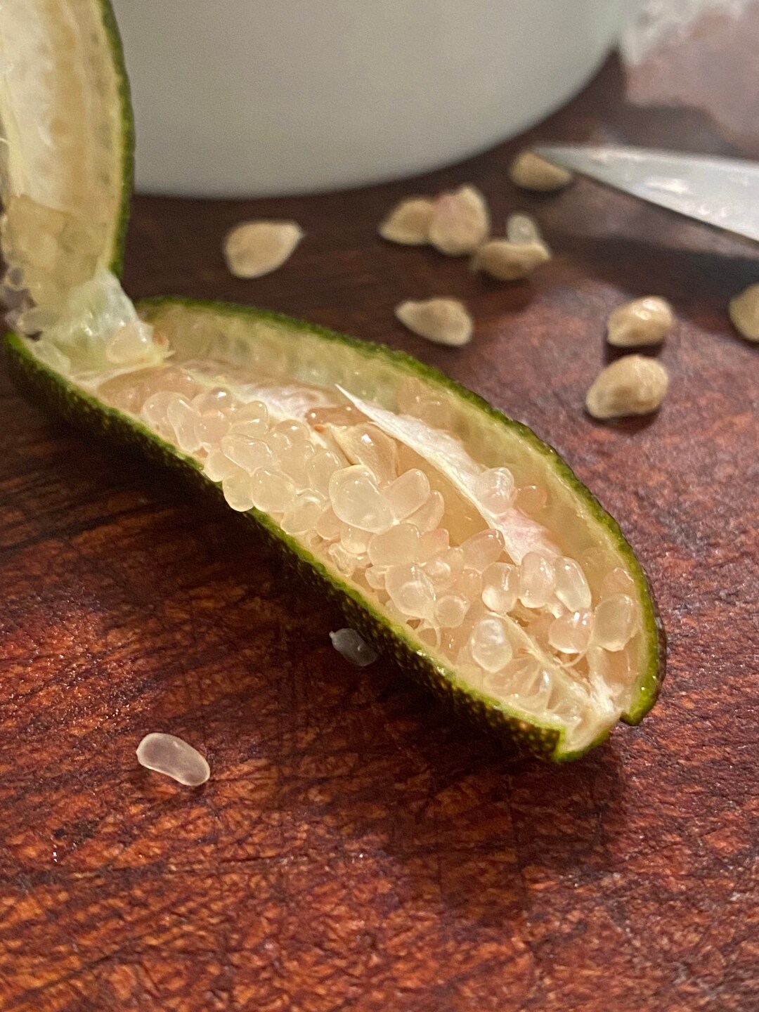 Australian Finger Lime Seeds (20 Seeds) - Etsy