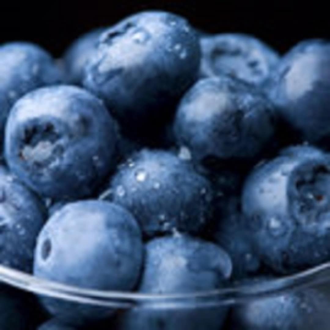 Blueberry Plants, Premier & Powderblue one of Each, FREE SHIPPING - Etsy