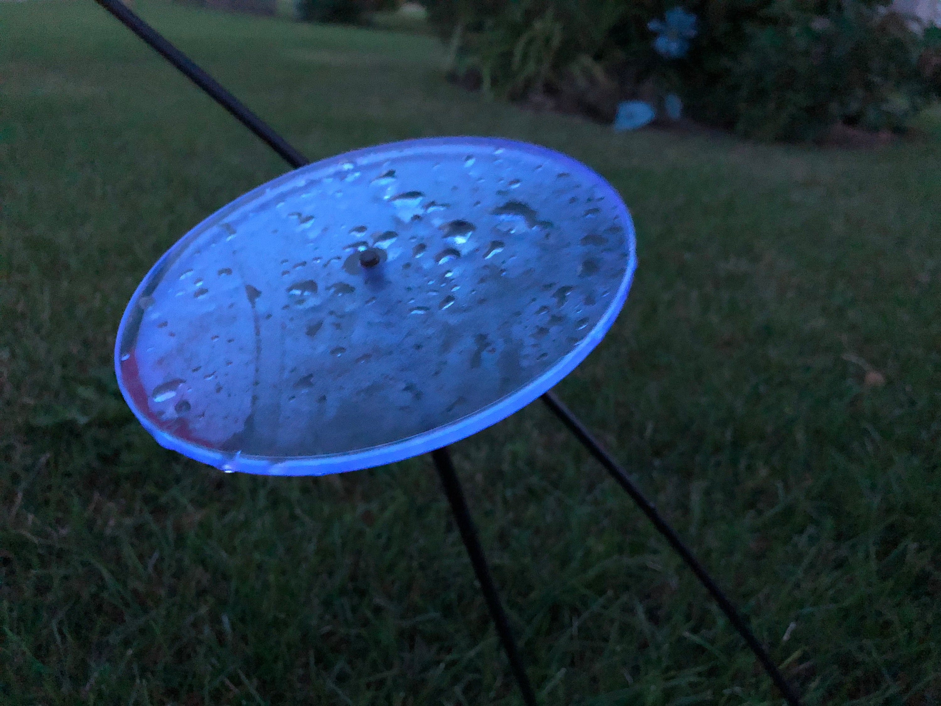 Meridiem Blue Sun Disc - Etsy