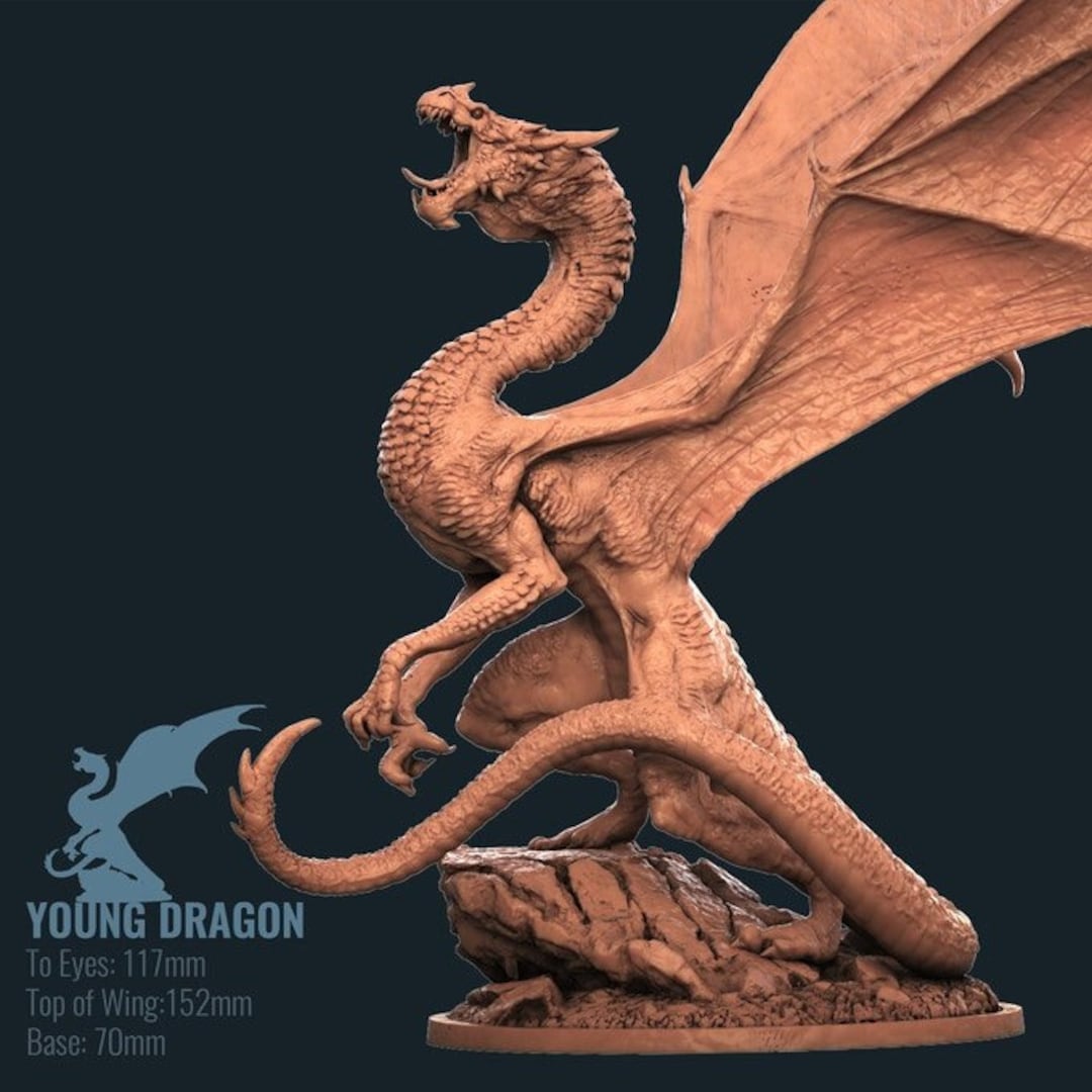 Young Dragon Tabletop Dragon Model From Print My Minis - Etsy