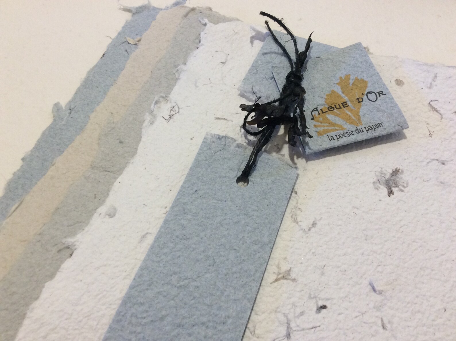 4 Sheets (8.5" X 11) Hand Made Rag Paper With Seaweed - Etsy UK