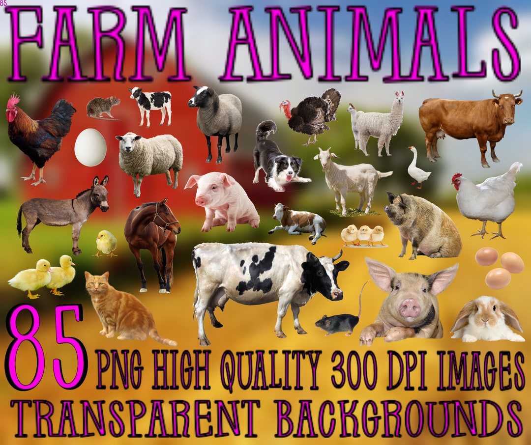 Farm Animals Clipart Pack 85 PNG 300 Dpi PNG Transparent Background ...