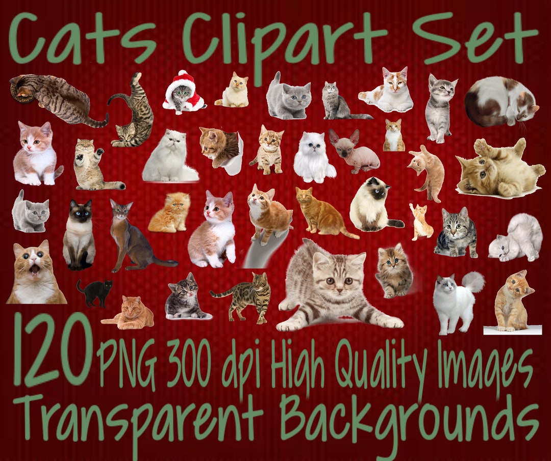 Cats Clipart Pack 123 PNG 300 Dpi PNG Transparent Background Images ...