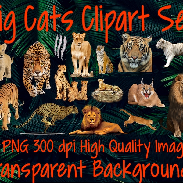 Big Cat - Etsy