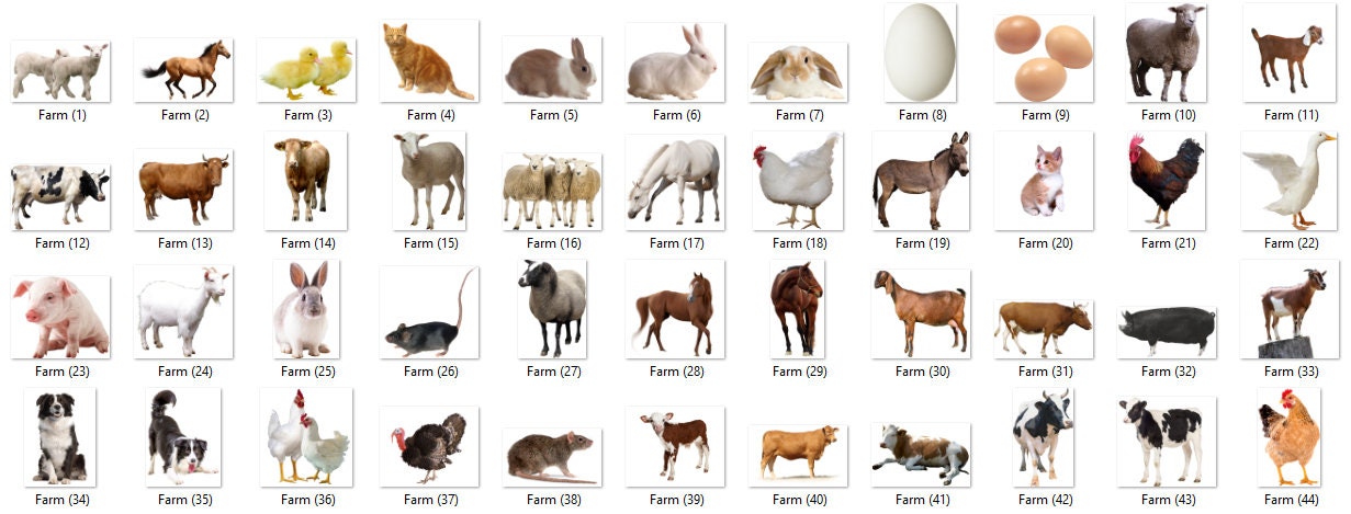 Farm Animals Clipart Pack 85 PNG 300 Dpi PNG Transparent - Etsy Canada