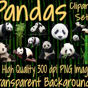 Pandas Clipart Pack 36 PNG 300 Dpi PNG Transparent Background Images ...