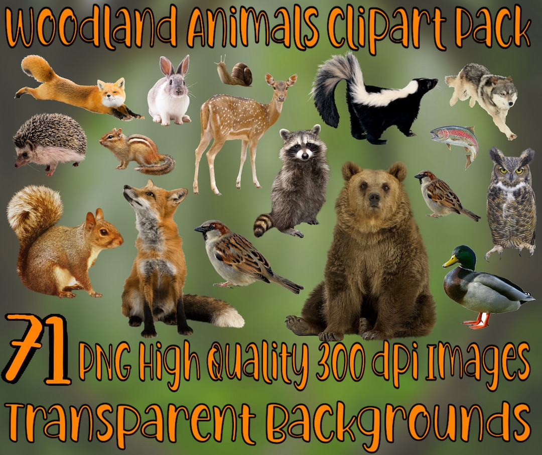 Woodland Animals Clipart: 71 PNG Transparent Images (digital Download ...