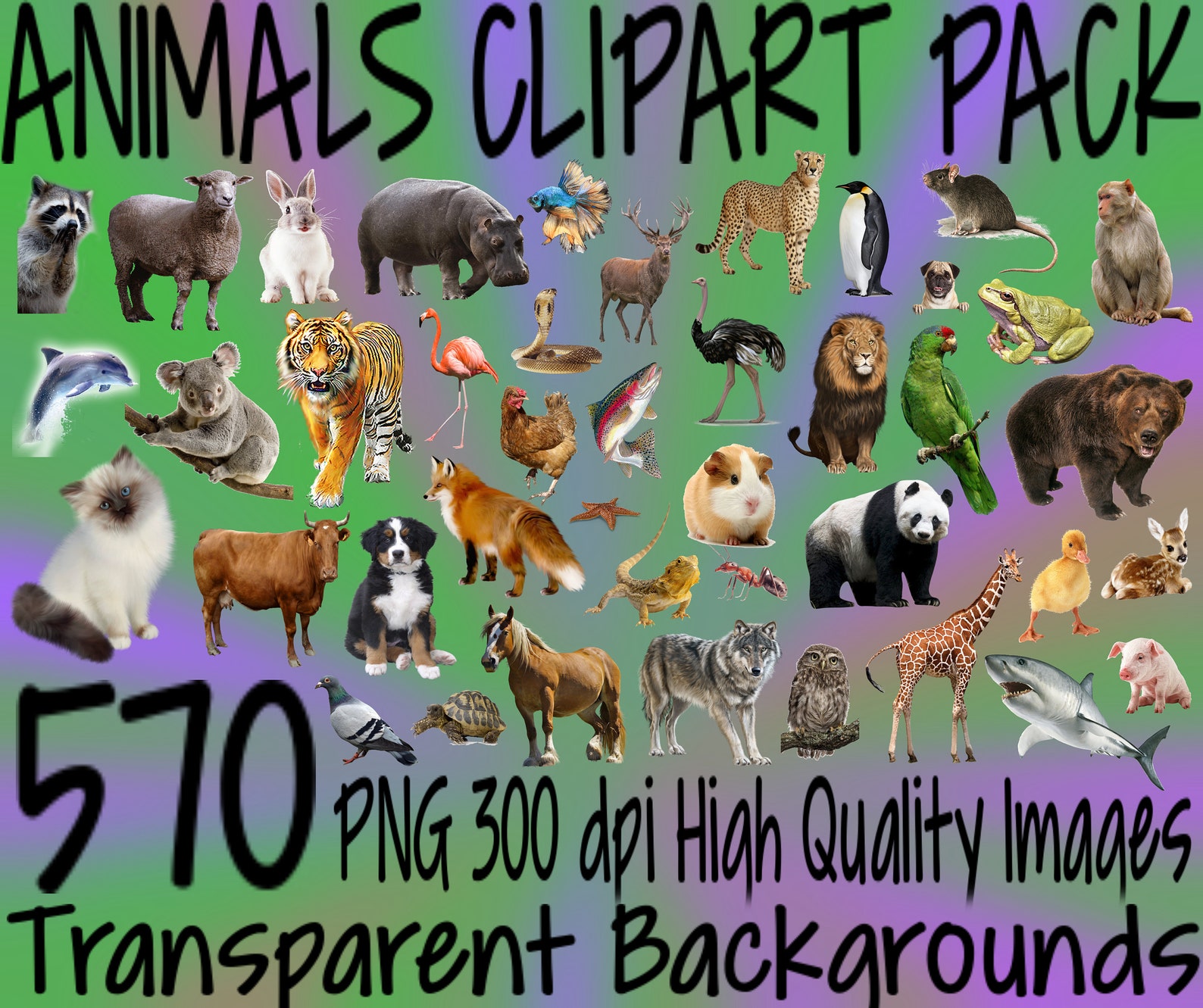 Animals Clipart Mega Pack 570 PNG 300 Dpi PNG Transparent - Etsy