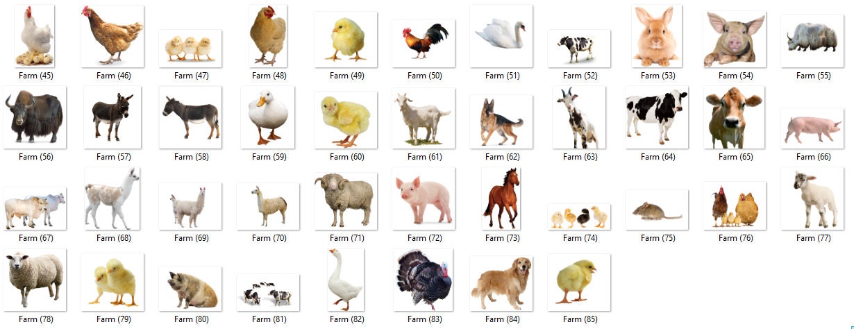 Farm Animals Clipart Pack 85 PNG 300 Dpi PNG Transparent - Etsy Canada