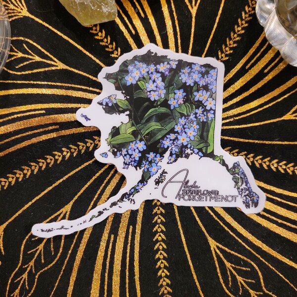 Alaska Forget Me Not - Etsy