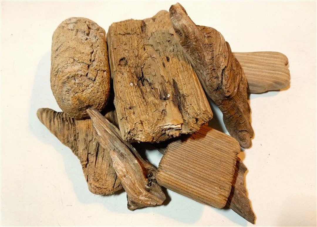 Set of 10 Pieces of Sea Wood, Dry Wood for DIY Projects - Etsy