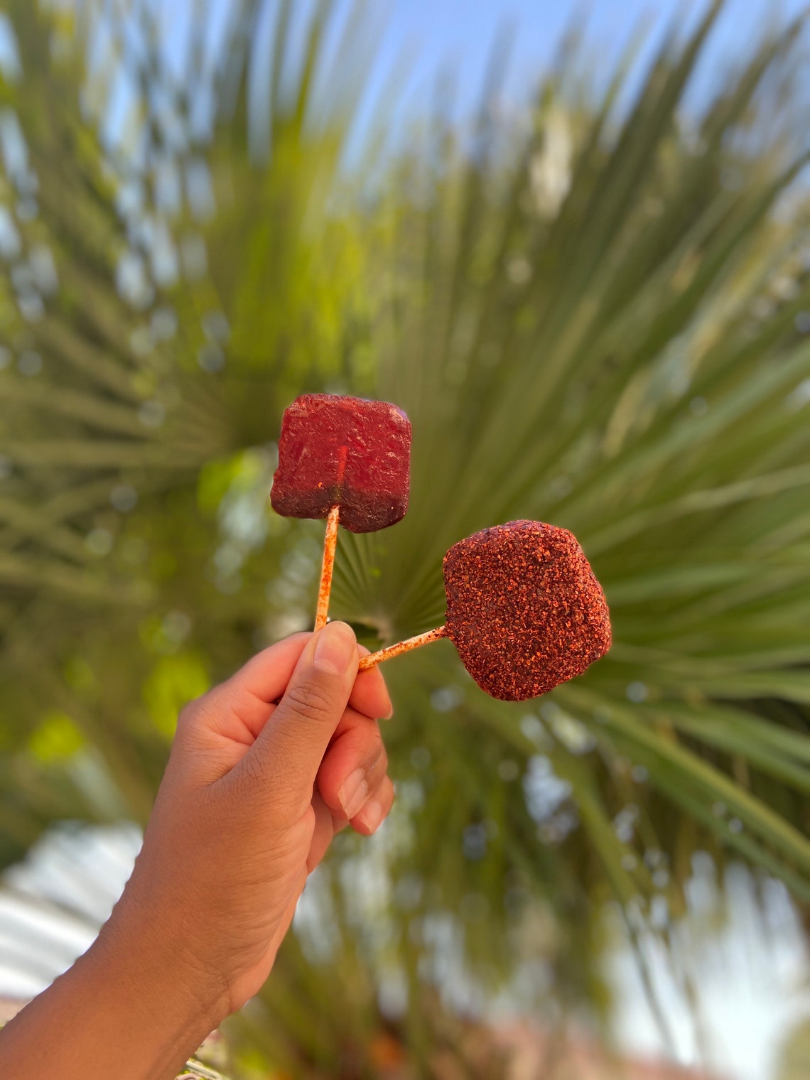 Iced Above Jumbo Mango and Pineapple Flavored Chile Lollipops / Paletas ...