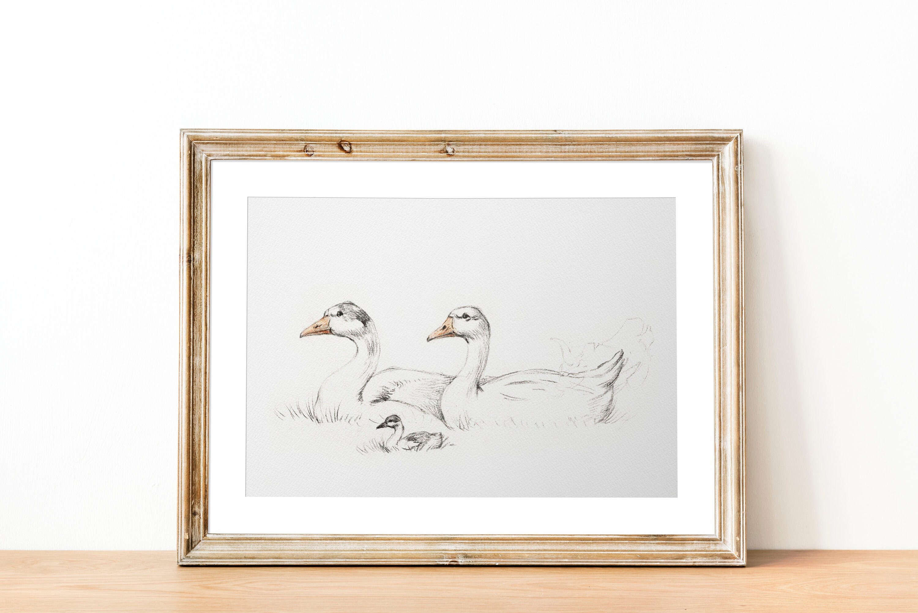 Nursery Ducks Drawing Neutral Farm Animal Pencil Sketch Art - Etsy