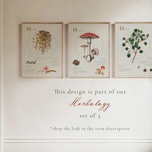 Herbology Botanical Print, Farmhouse Style Antique Wizard Herb Poster ...