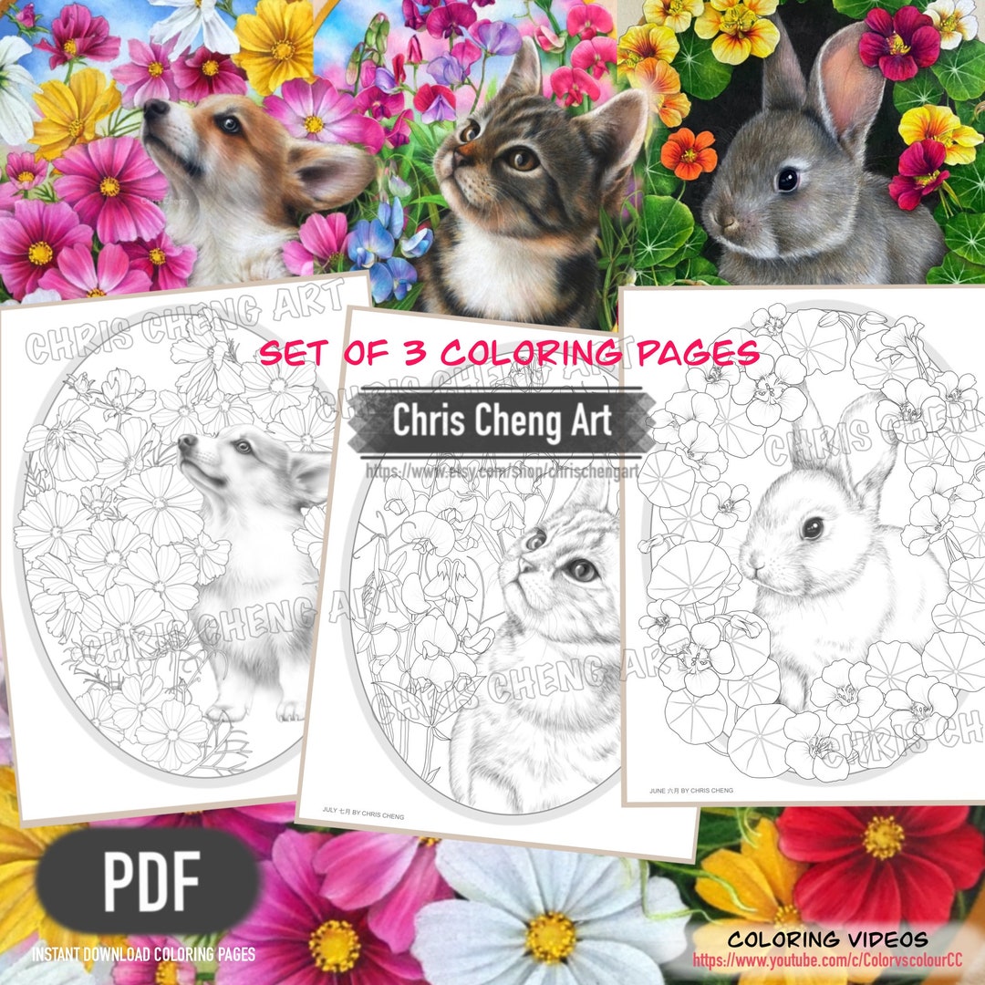 Set of 3 Coloring Pages "pets" | Instant Download Printable Files (PDF ...