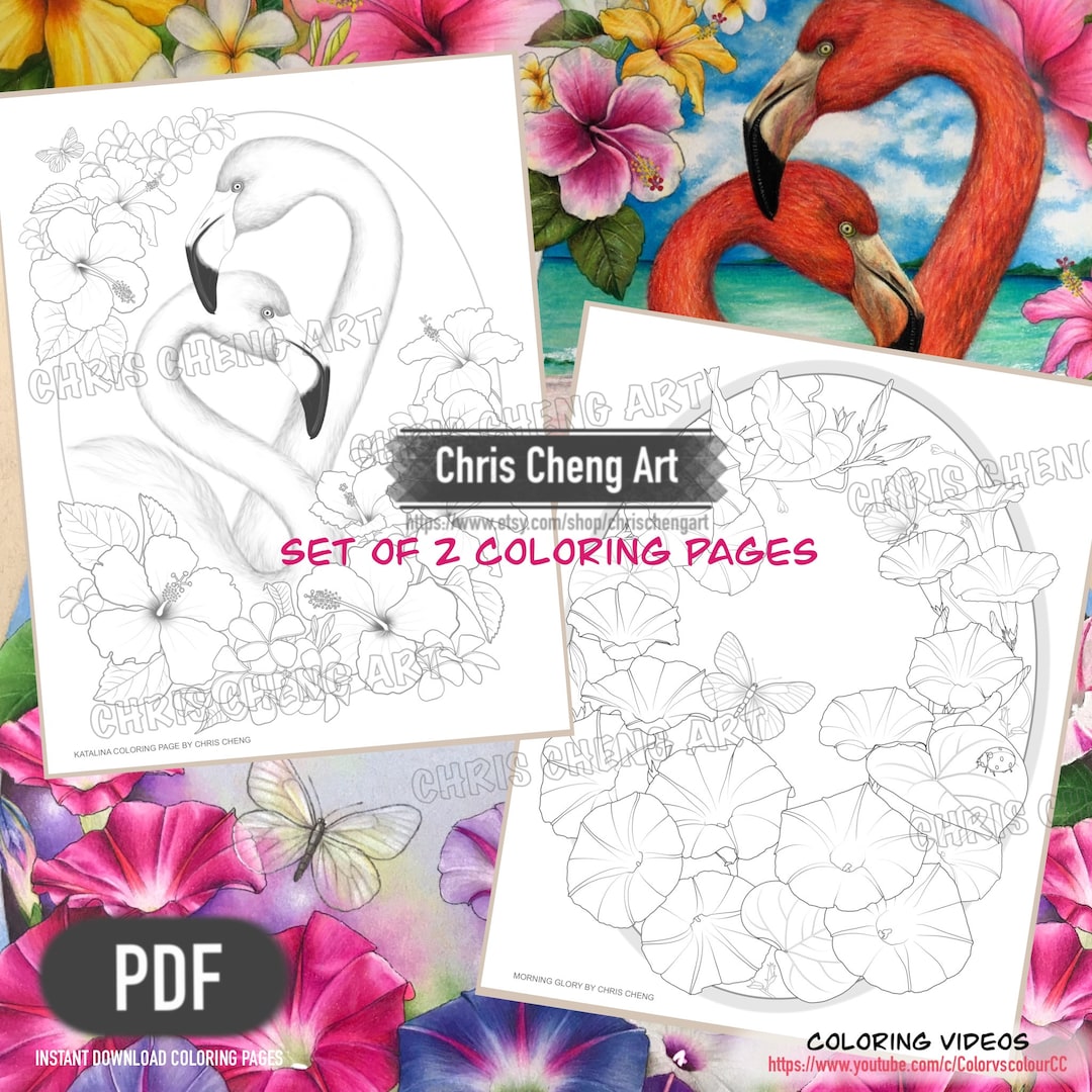 Set of 2 Coloring Pages "mood" | Instant Download Printable Files (PDF ...