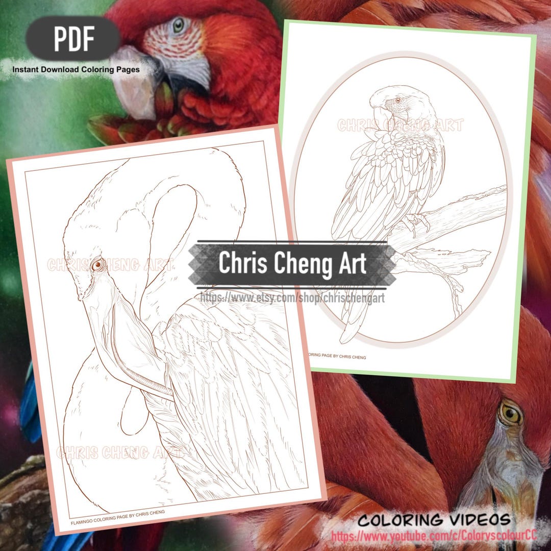 2 Coloring Pages "birds" | Instant Download Printable Files in PDF ...
