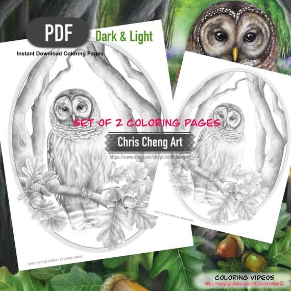 Set of 2 Coloring Pages spirit of the Forest - Etsy