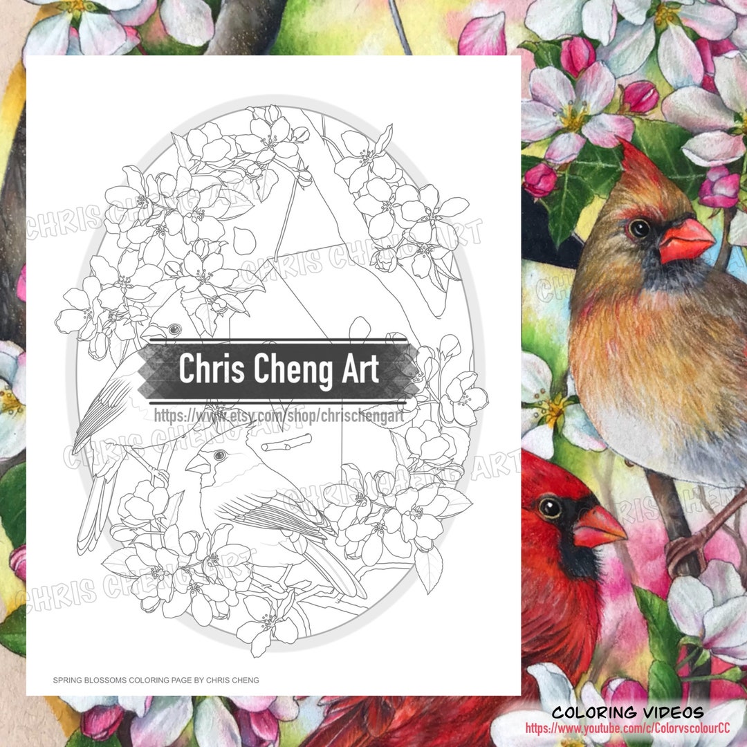 Coloring Page "spring Blossoms" | Instant Download Printable File (PDF ...