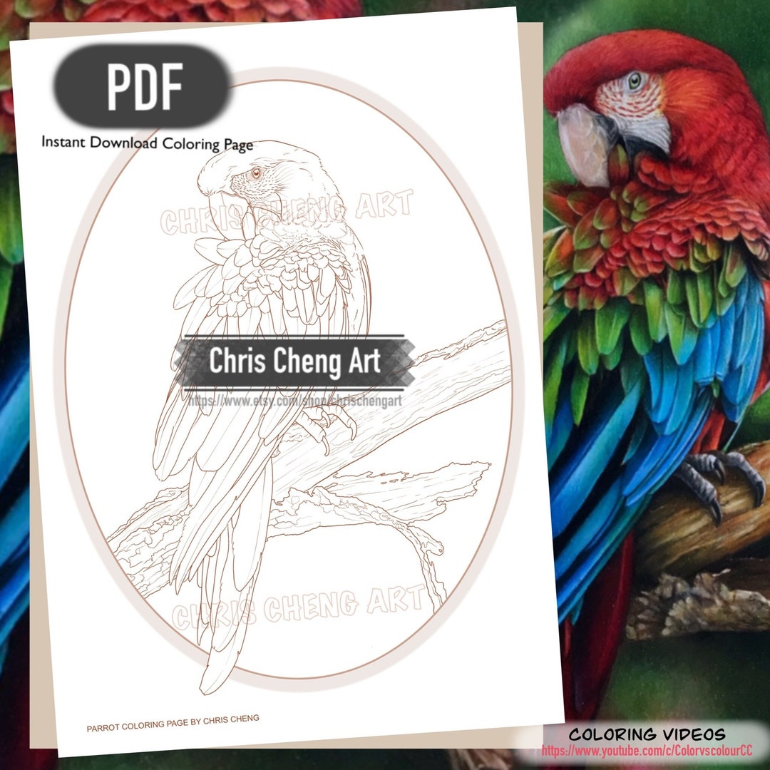 Coloring Page "parrot" | Instant Download Printable File (PDF) - Etsy