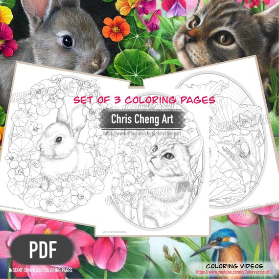 Set of 3 Coloring Pages summer Instant Download - Etsy