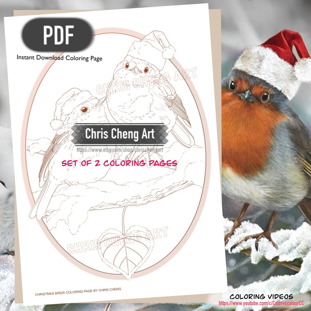 Set of 2 Coloring Pages "christmas Birds" | Instant Download Printable ...