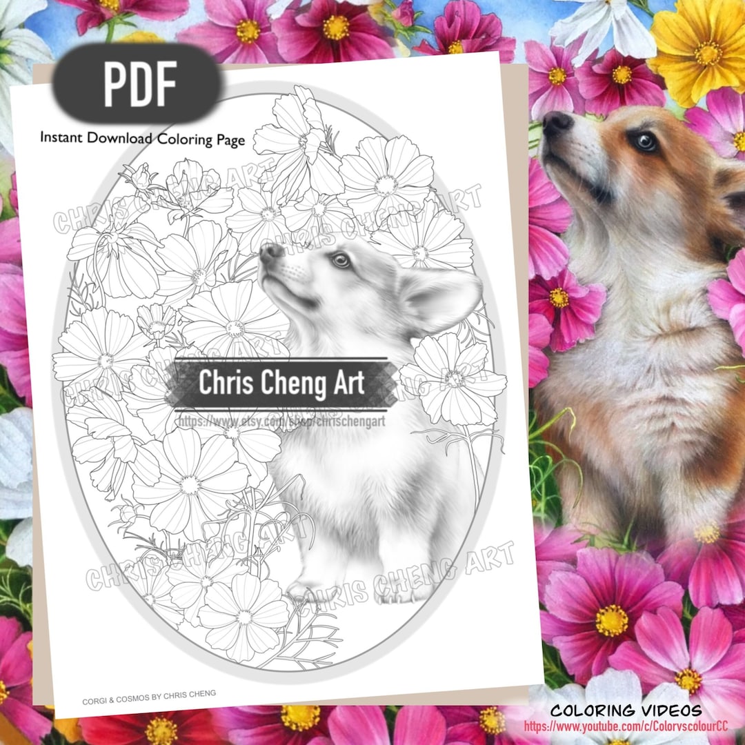 Coloring Page "corgi & Cosmos" | Instant Download Printable File (PDF ...