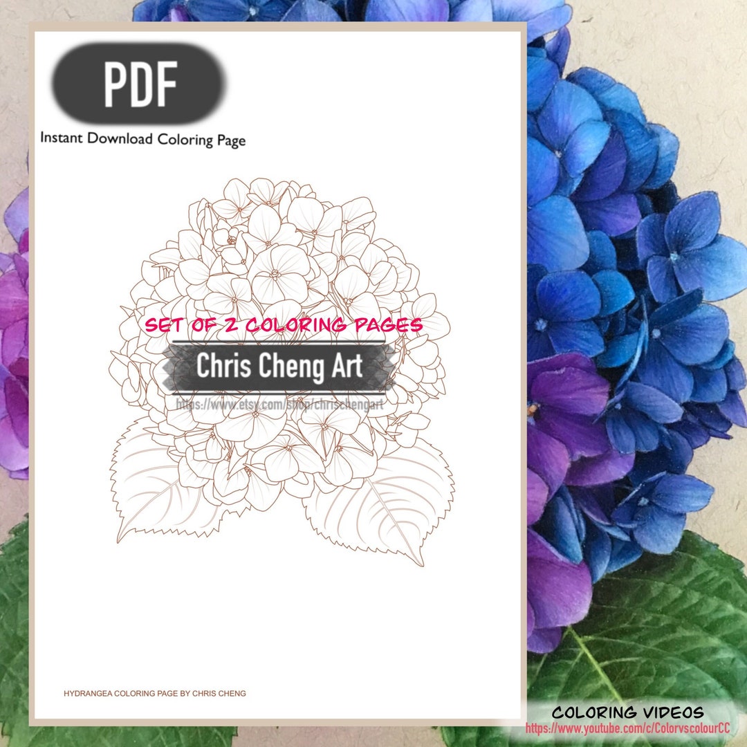 Set of 2 Coloring Pages "hydrangea" (dark & Light Version) | Instant ...