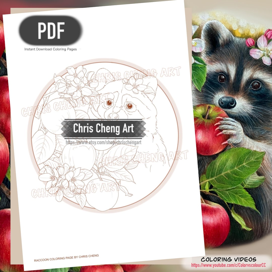 Coloring Page "raccoon" | Instant Download Printable (PDF) - Etsy