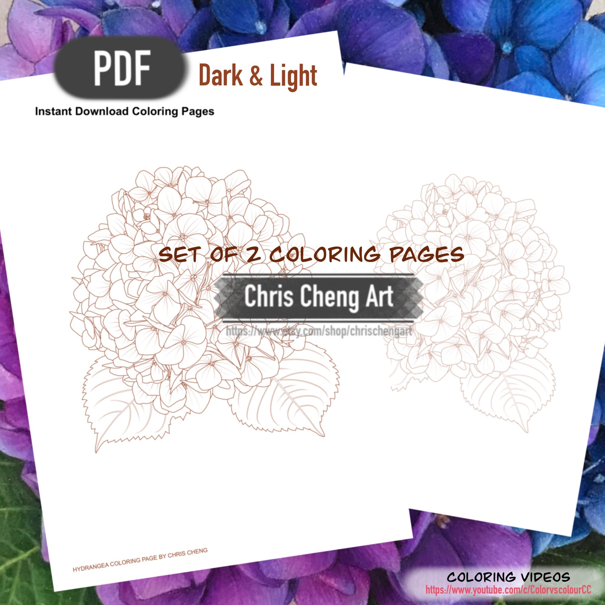 Set of 2 Coloring Pages "hydrangea" (dark & Light Version) | Instant ...