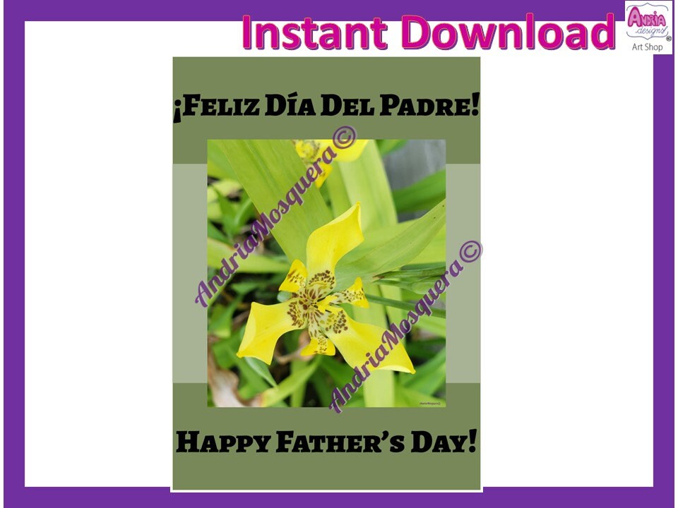 Fathers' Day Card Bilingual Día Del Padre Flat Card - Etsy