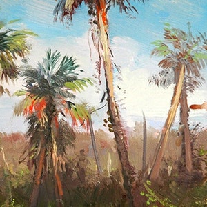 Land of the Seminole | Collier Seminole | Florida Art | Florida ...