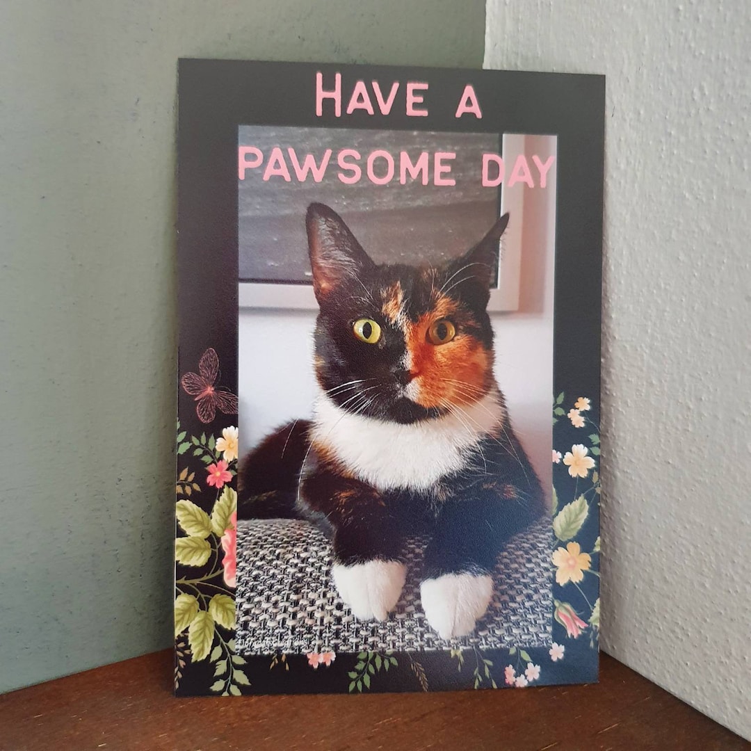 Postcard have a Pawsome Day - Etsy