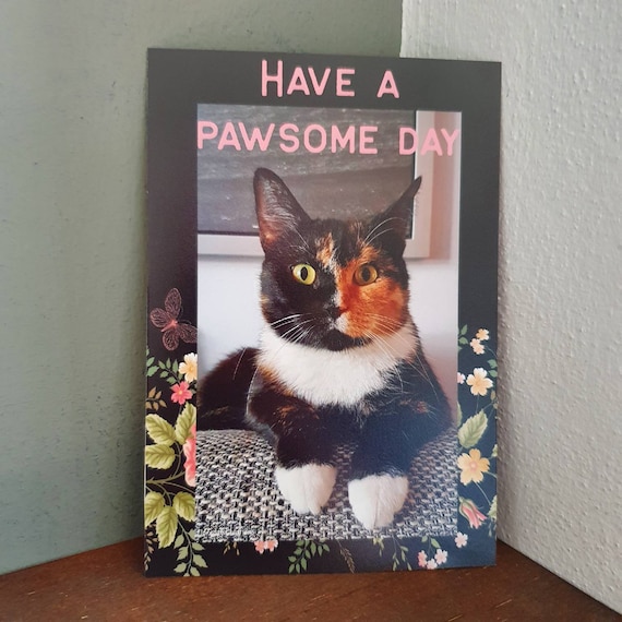 Postcard have a Pawsome Day | Etsy