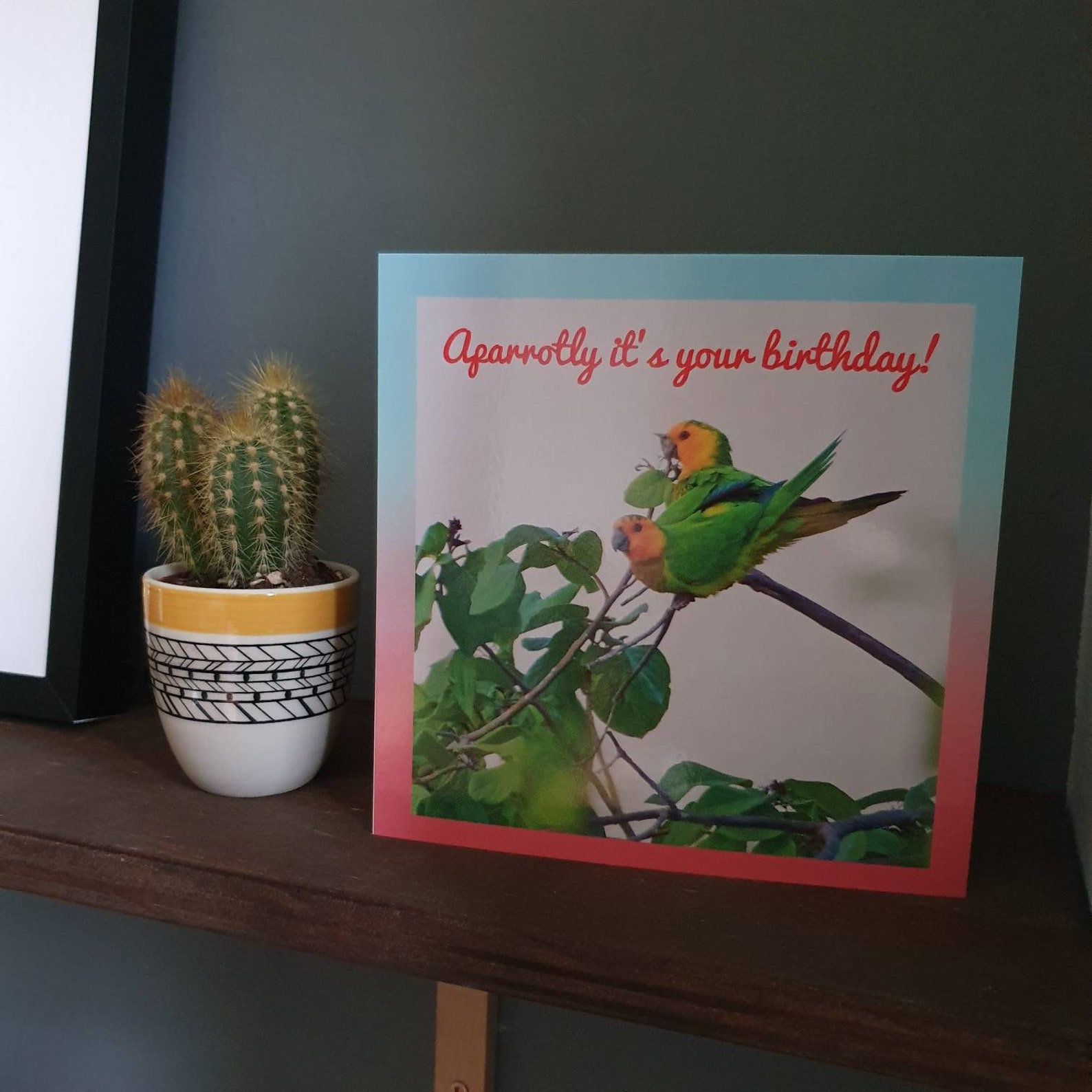 Birthday Card Parrots - Etsy