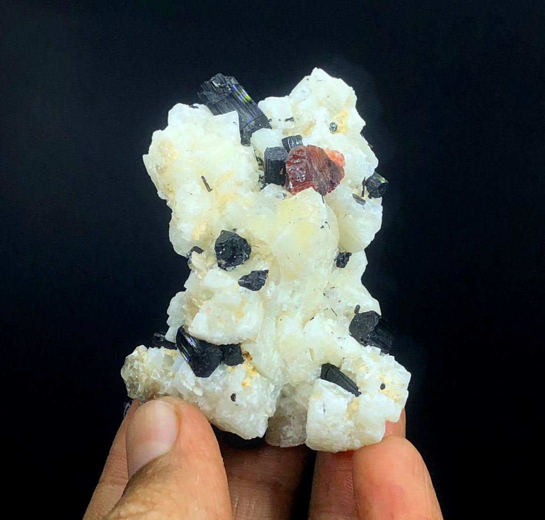 Red Garnet Crystals With Schorl and Feldspar Mineral Specimen, Garnet ...