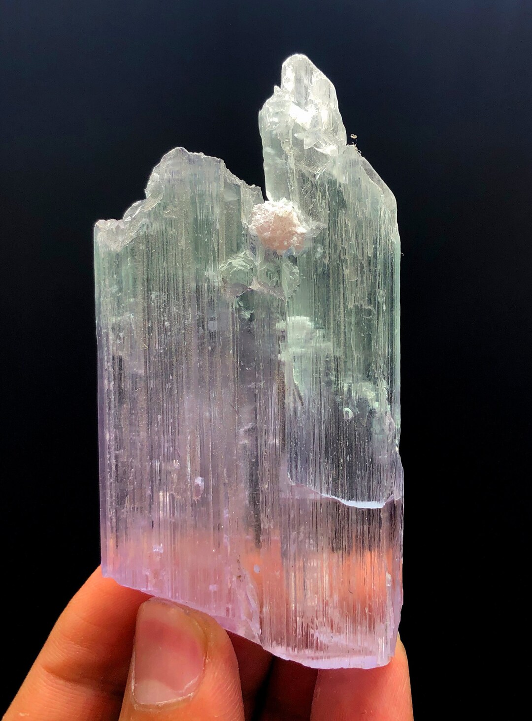 Bi-color Kunzite Crystal: Raw Pink Kunzite From Afghanistan (105 Gram ...
