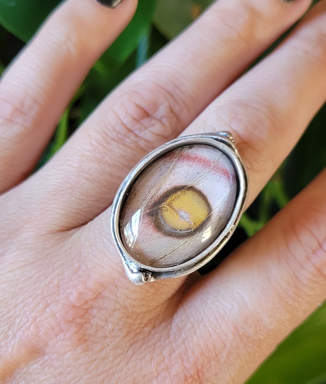 Real Bullseye Moth Wing Adjustable Ring Antique Silver Statement ...