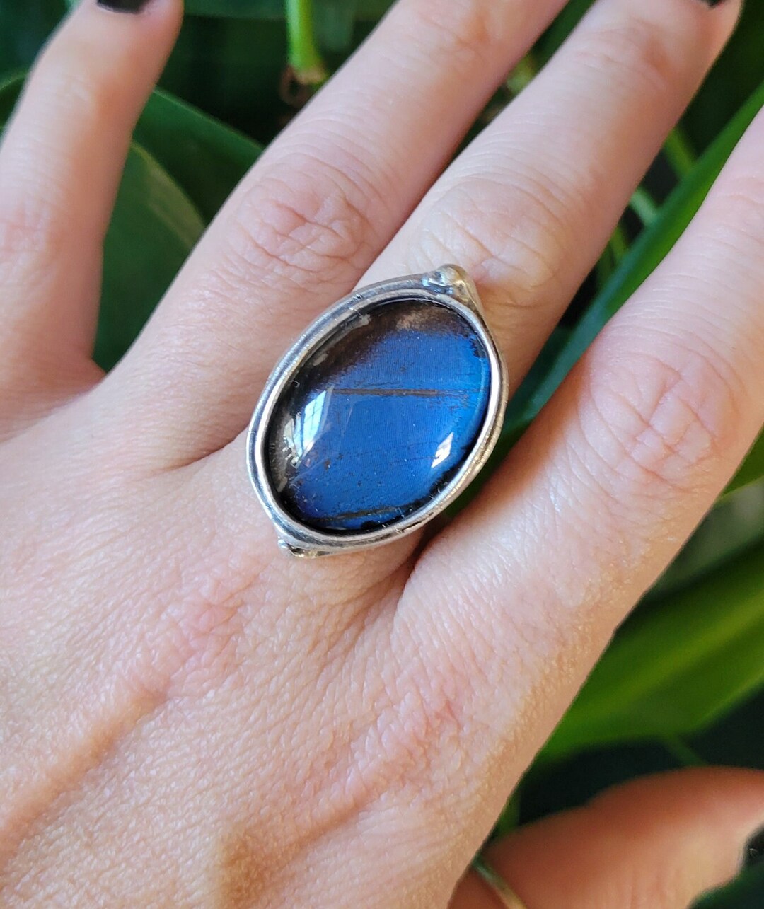 Real Blue Morpho Wing Adjustable Ring - Etsy