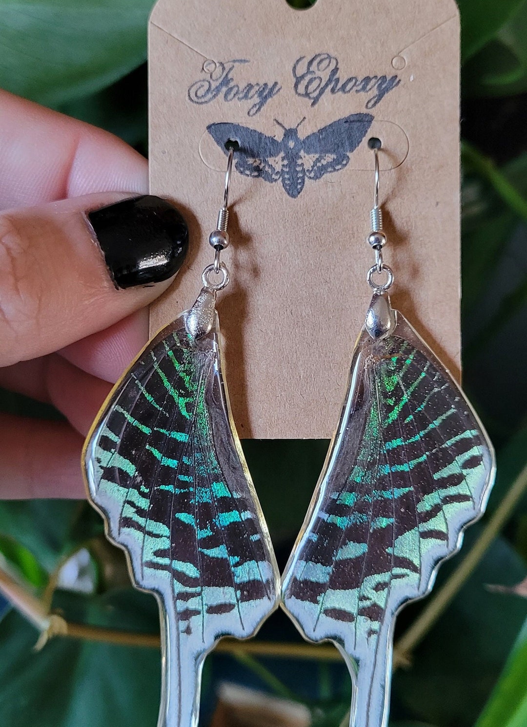 Real Green-banded Urania Moth Wing Earrings - Etsy