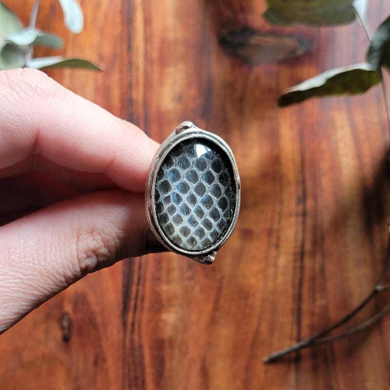 Real Snake Skin - Etsy