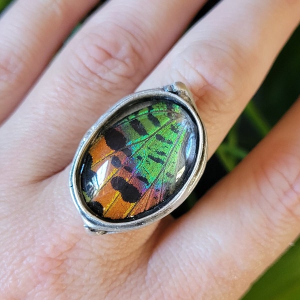 Butterfly Wing Ring - Etsy